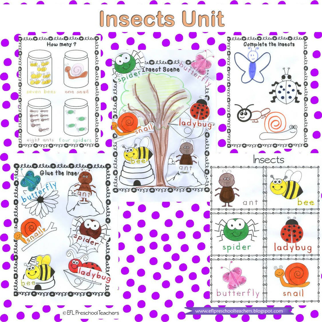 Insect Unit for Preschool ELL – Bilingual Marketplace