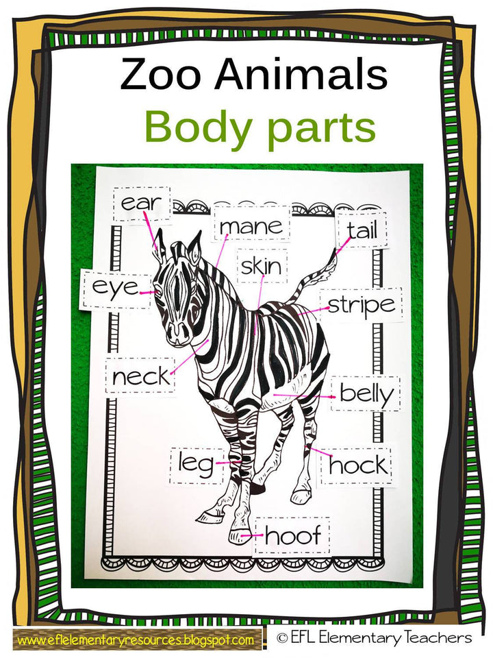 Zoo Animals Body Cards and activity sheets – Bilingual Marketplace