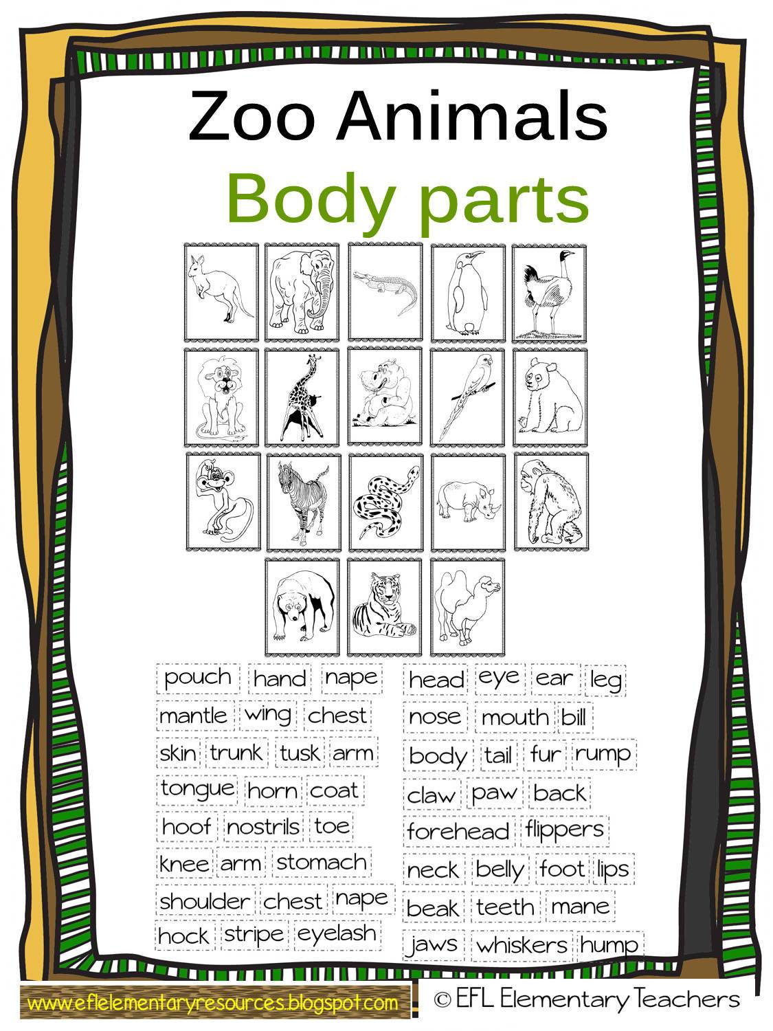 Zoo Animals Body Cards and activity sheets – Bilingual Marketplace