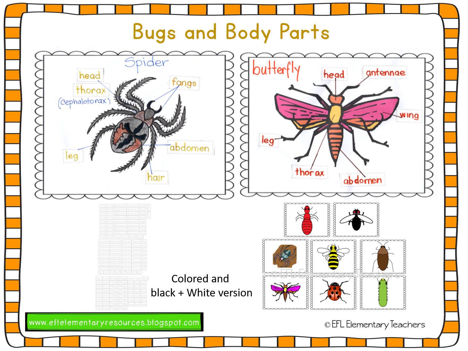 Bugs Unit for Elementary ESL – Bilingual Marketplace