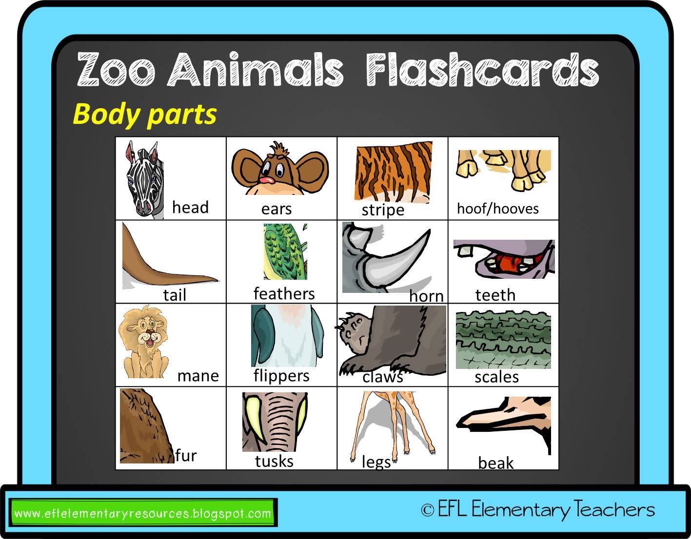 Zoo Animals Body Cards and activity sheets – Bilingual Marketplace