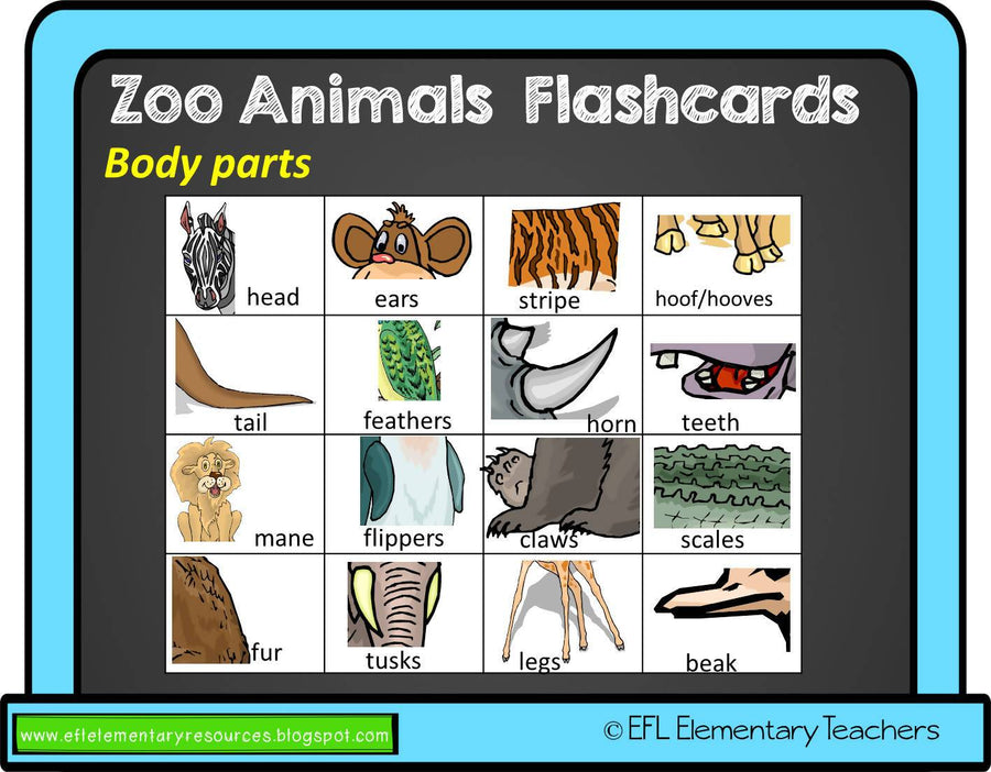 Zoo Animals Body Cards and activity sheets – Bilingual Marketplace