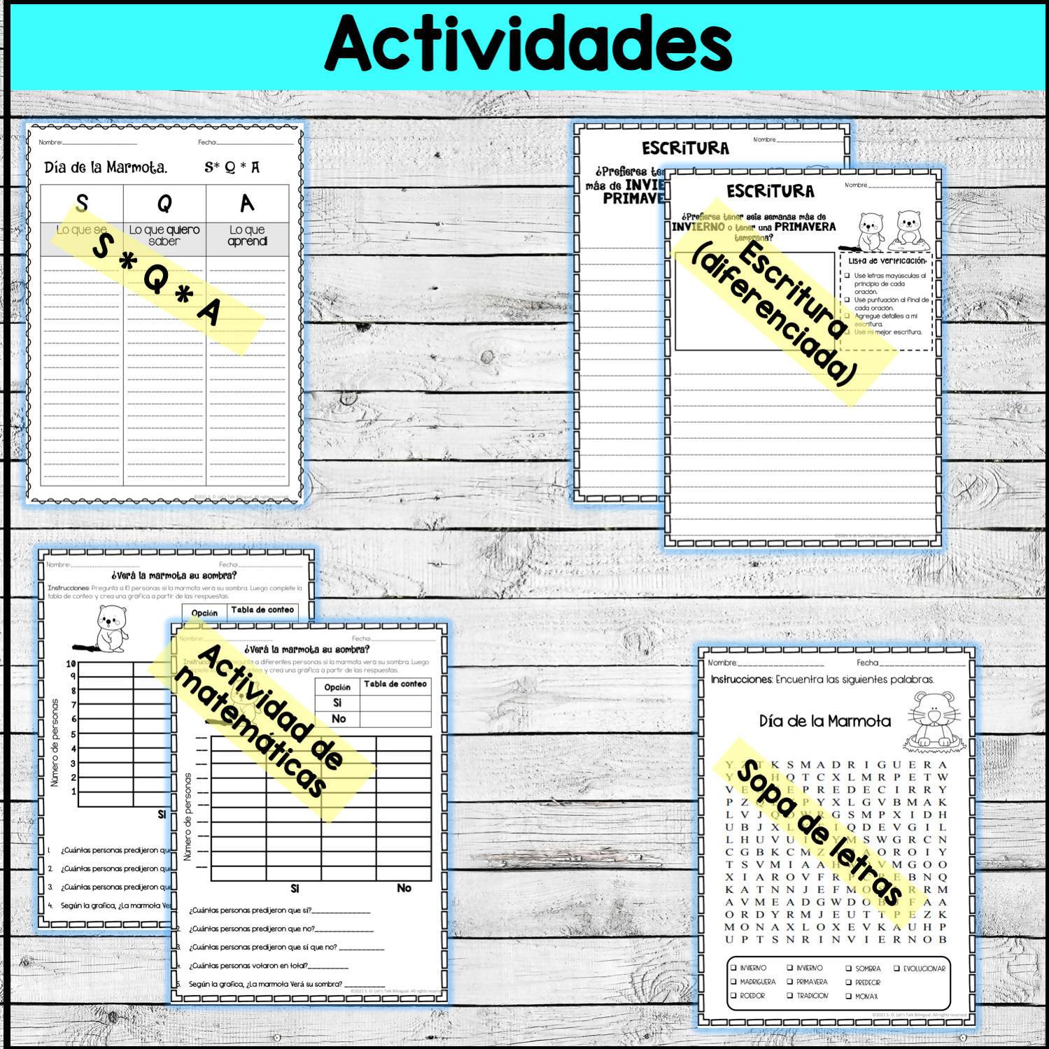 Groundhog Day in Spanish - Día de la marmota - Math - Google Classroom ...
