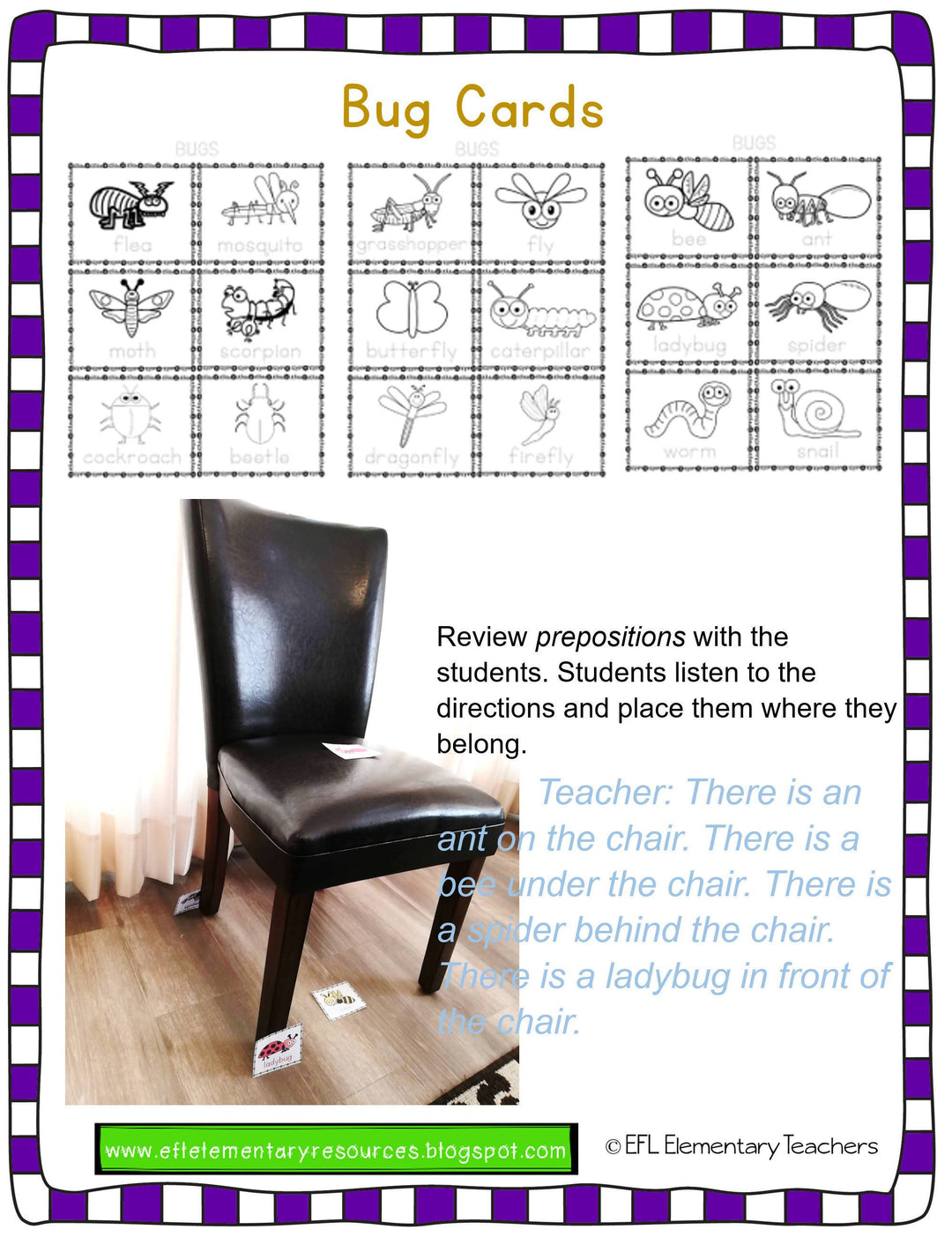 Bugs Unit for Elementary ESL – Bilingual Marketplace