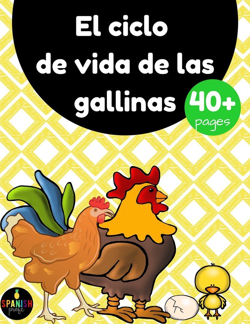 Chicken Life Cycle in Spanish (Las gallinas, gallos y pollitos ...