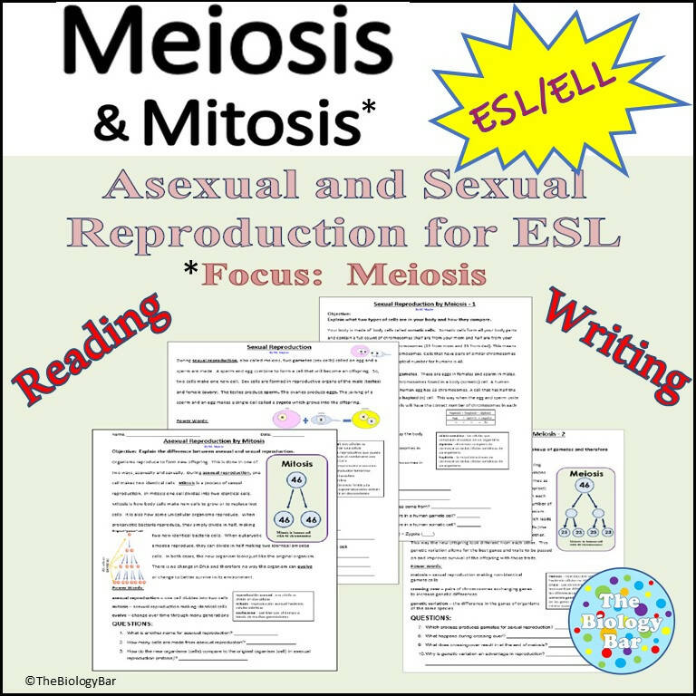 Biology Meiosis and Mitosis Reading and Writing – Bilingual Marketplace