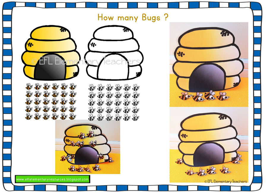 Bugs Unit for Elementary ESL – Bilingual Marketplace