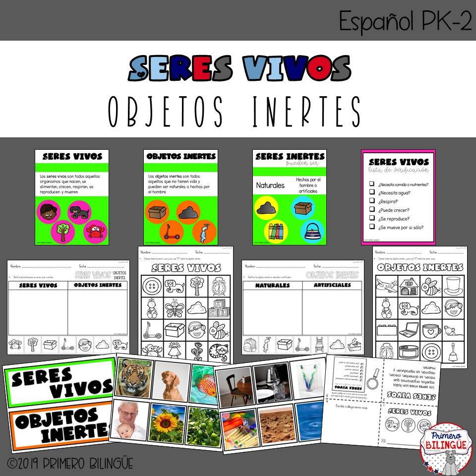 Ciencias/ Seres vivos y objetos inertes – Bilingual Marketplace