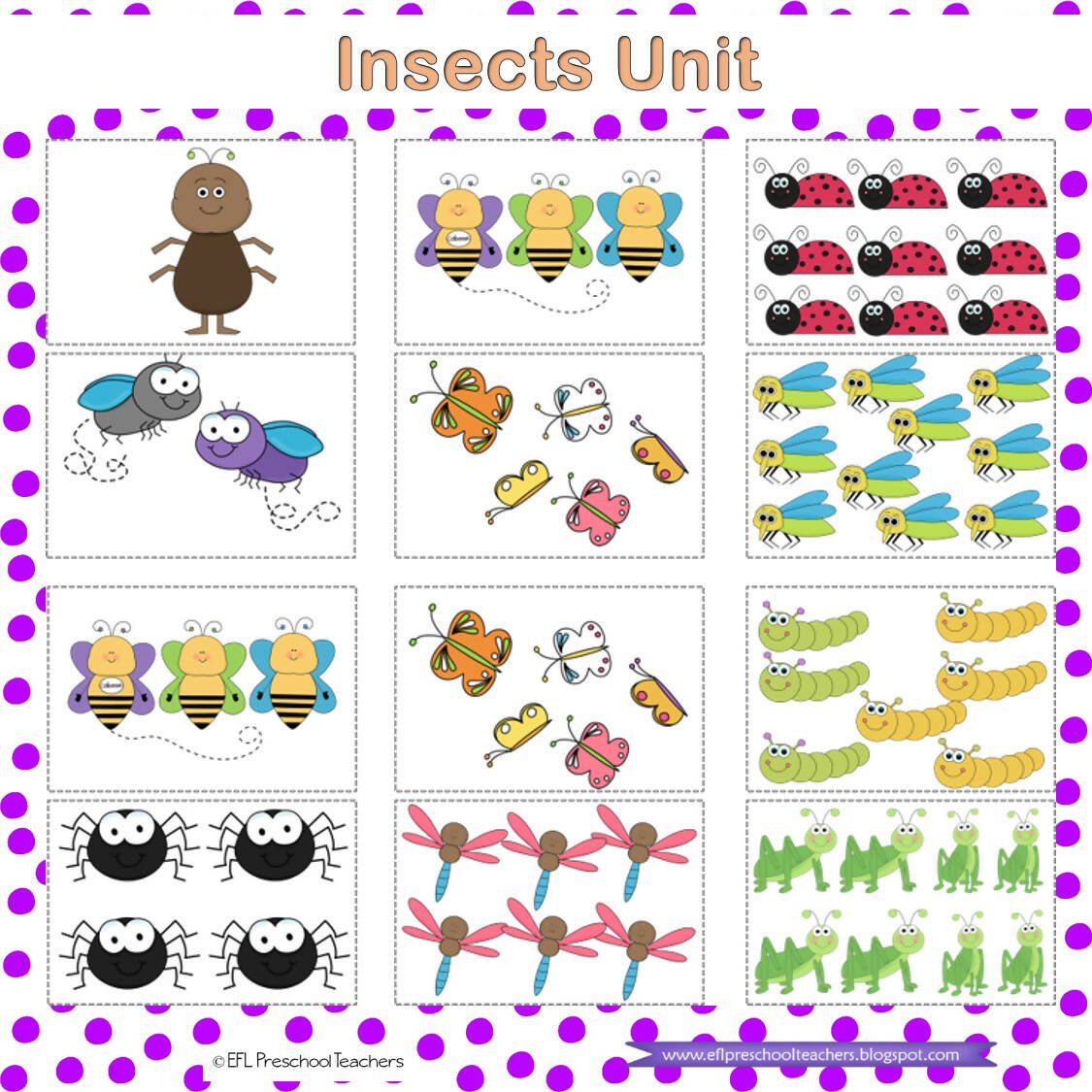 Insect Unit for Preschool ELL – Bilingual Marketplace