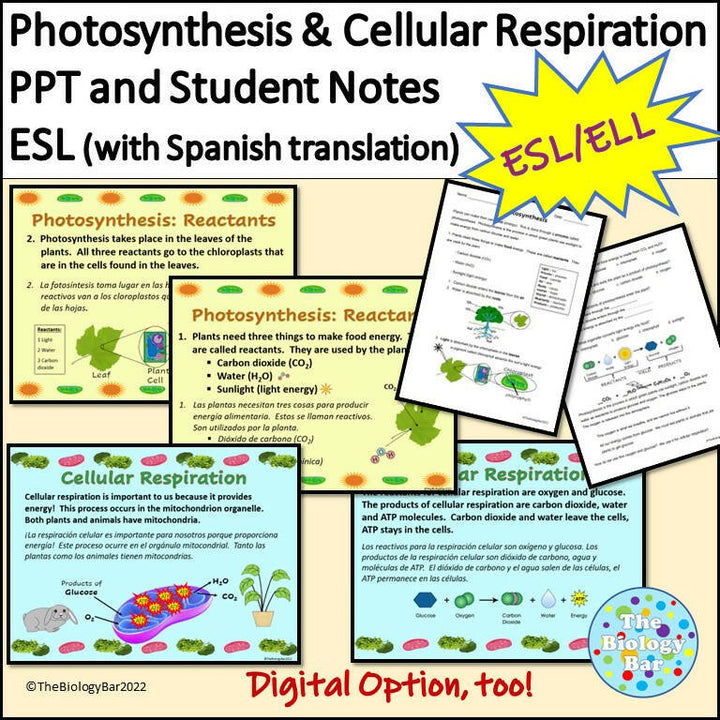 Biology Cell Energy PowerPoint Notes and Student Guided Notes ...